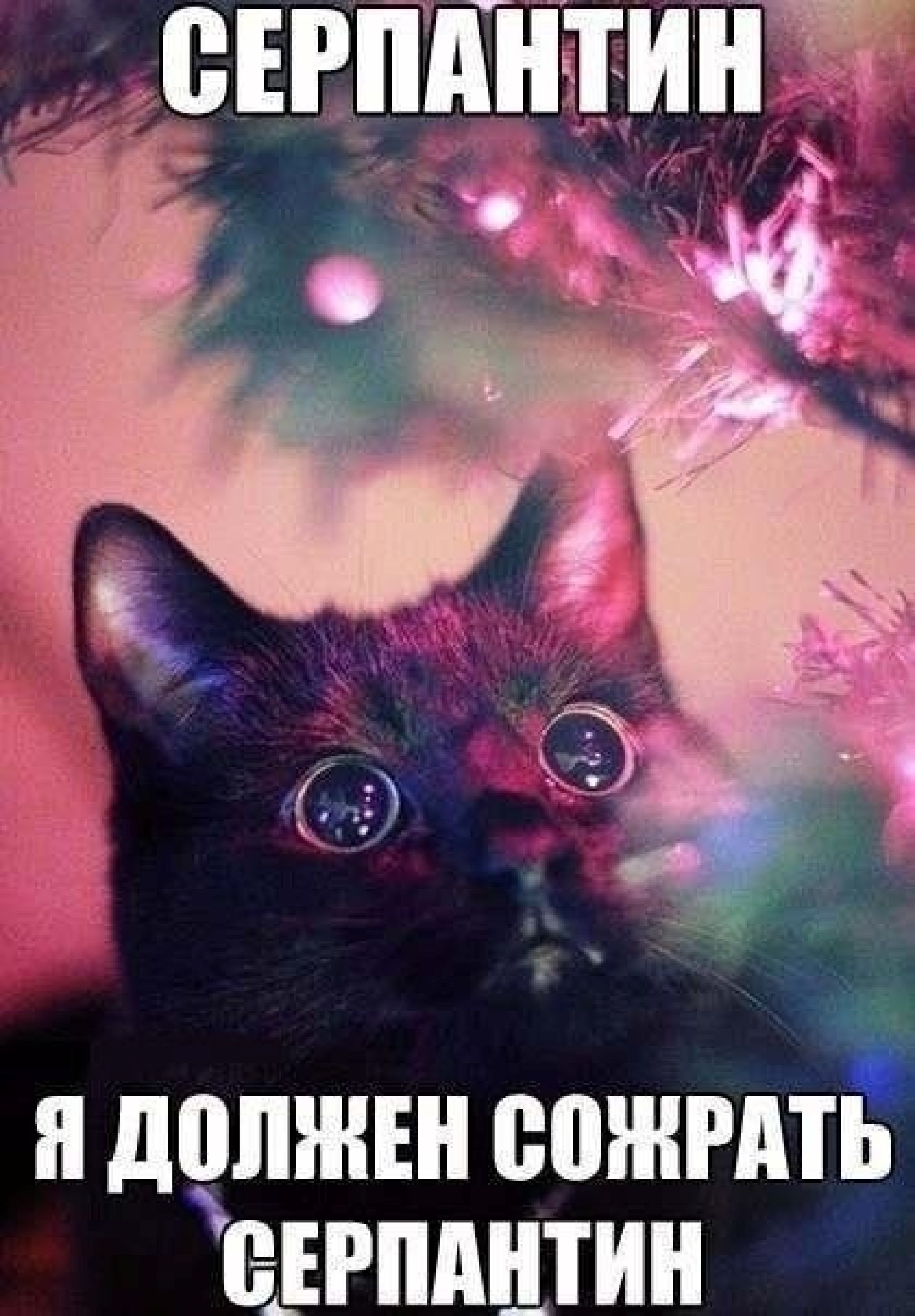 Подборка мемов про Новый год